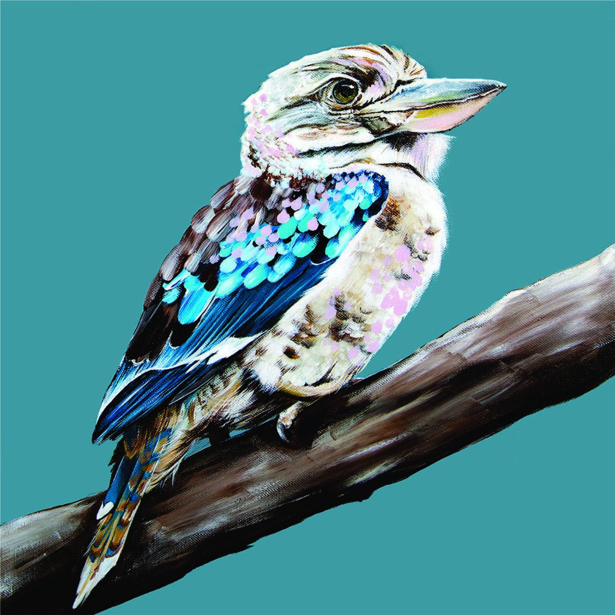 kookaburra blue | ArtSHINE Licensing